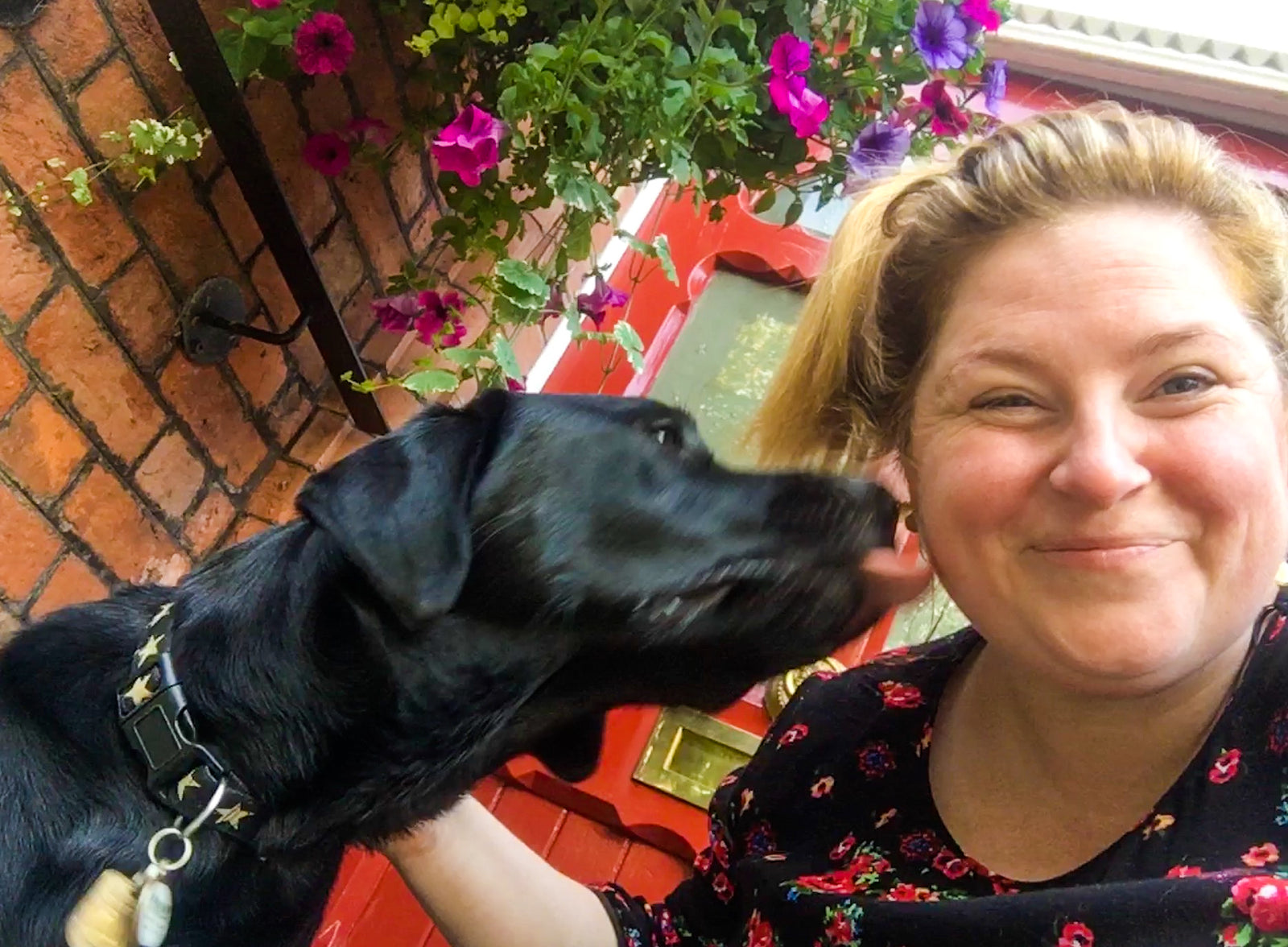 About Scoff Paper | The World’s First Edible Dog Cards