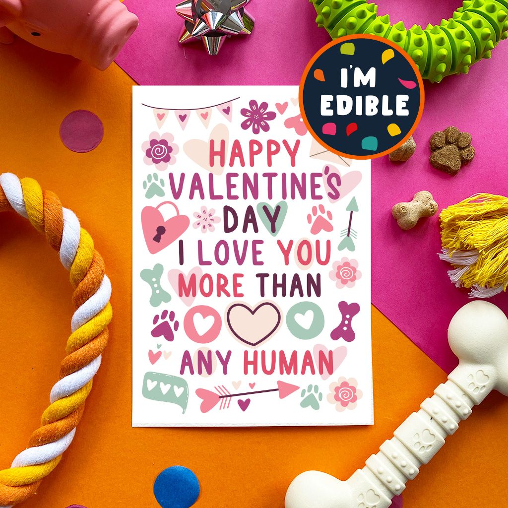 Valentines Card for Dogs - Be My Valentine - Chocolate Flavour – Scoff ...