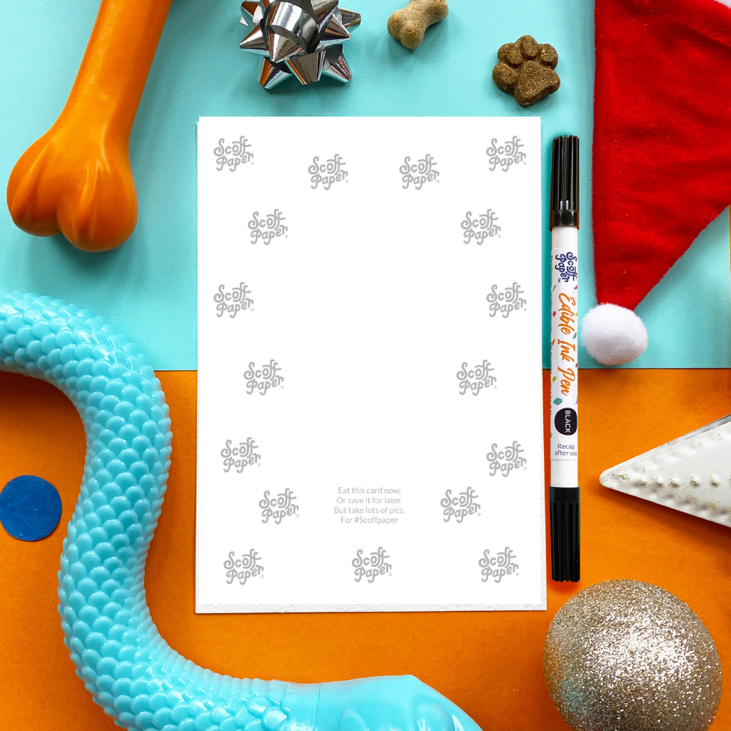 Funny Dog Christmas Card | The Dog Who Gets More Cards Than I Do ...