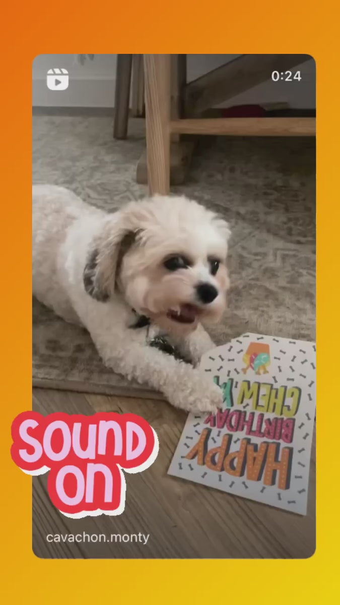 Happy Birthday card for dogs - Chew You - Chicken flavour edible ...